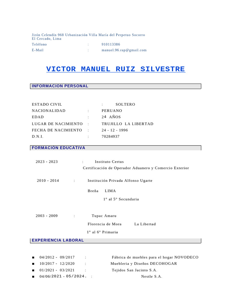 Curriculum Manuel Ruiz | PDF