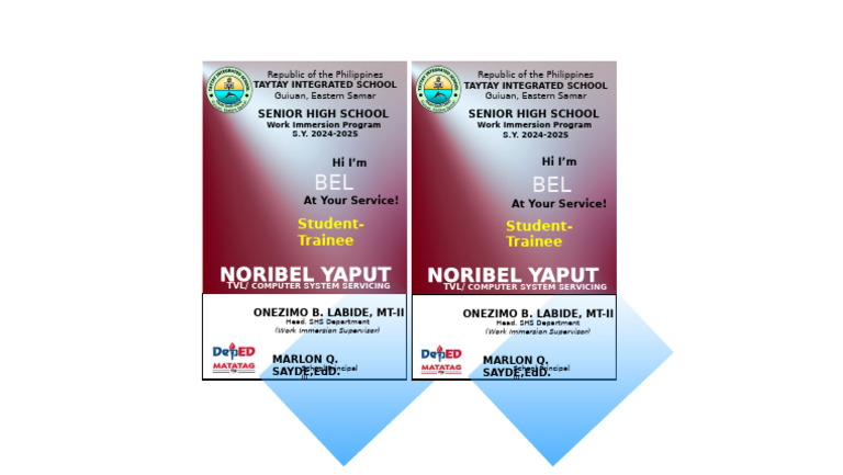 Work Immersion Id | PDF