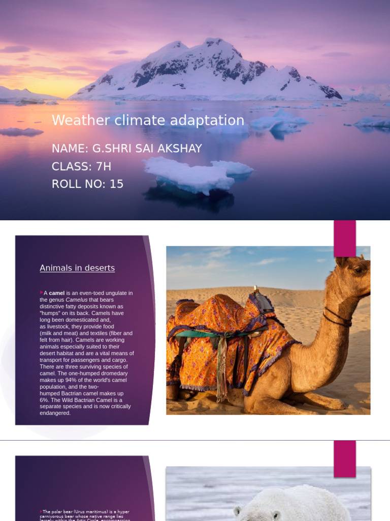Weather Climate Adaptation | PDF