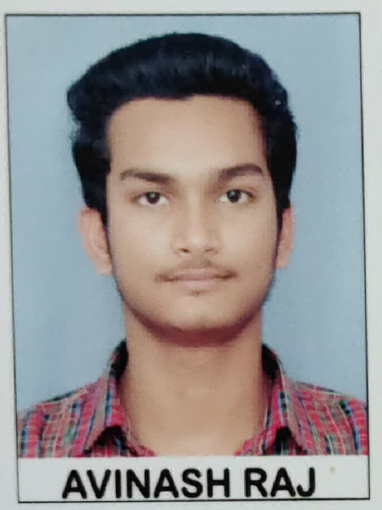Avinash Raj - Profile Overview | PDF