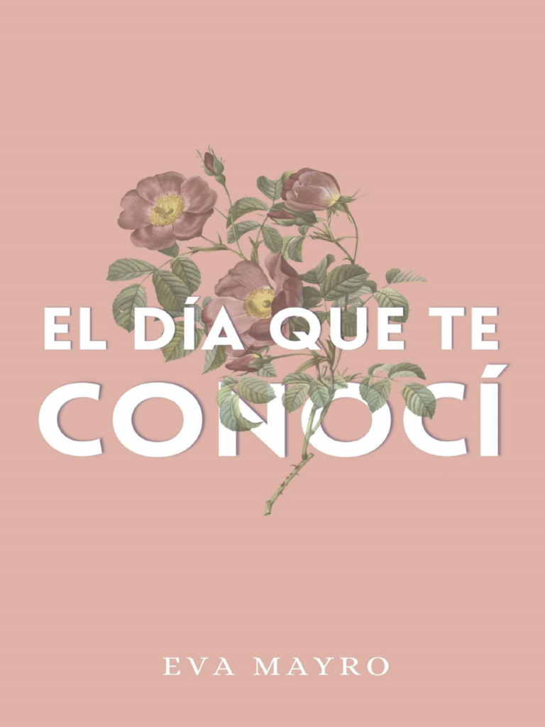 El Dia Que Te Conocí | PDF
