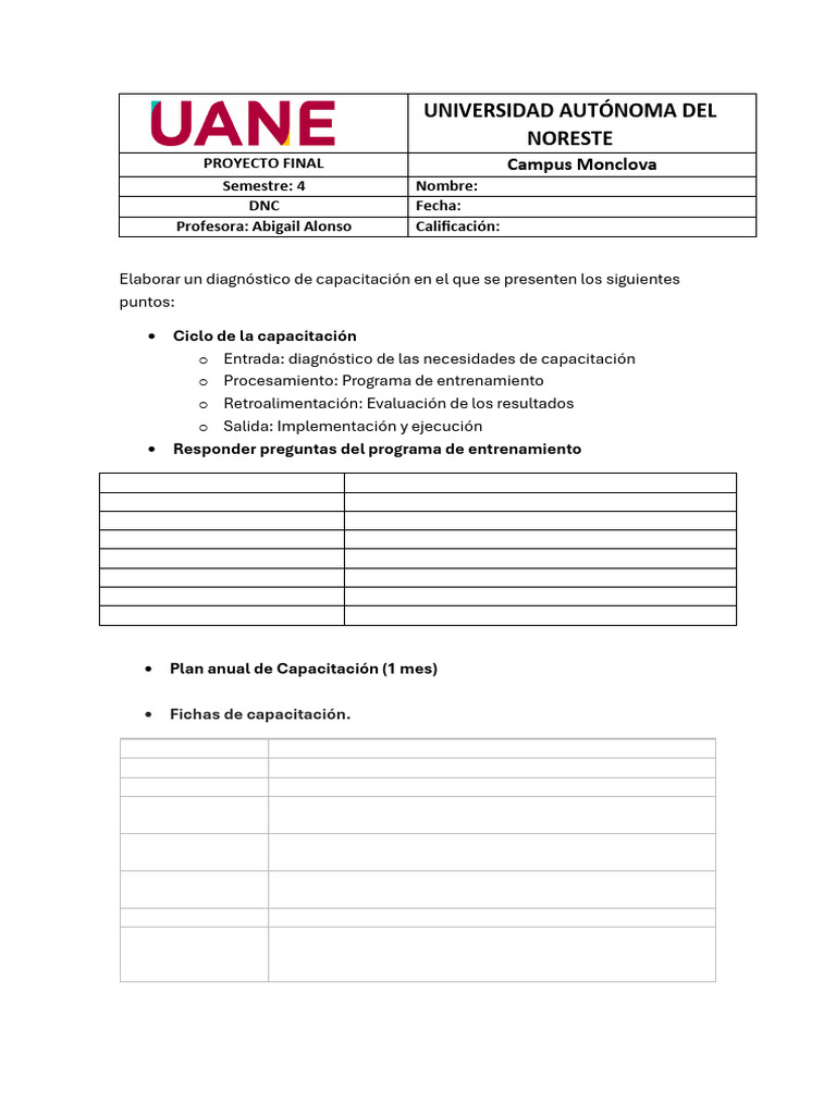 Rubrica DNC | PDF | Aprendizaje