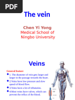 Terminology of Lower Limb Perforators | PDF | Vein | Foot