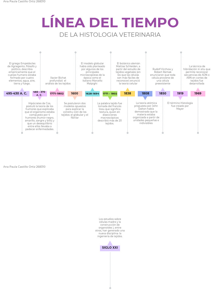 GrÃ¡fico de LÃ_nea de Tiempo Flujo Progreso Anual Moderno Multicolor ...