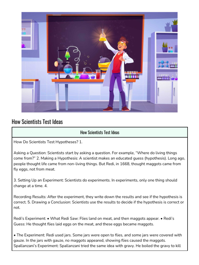 How Scientists Test Ideas | PDF | Experiment | Hypothesis