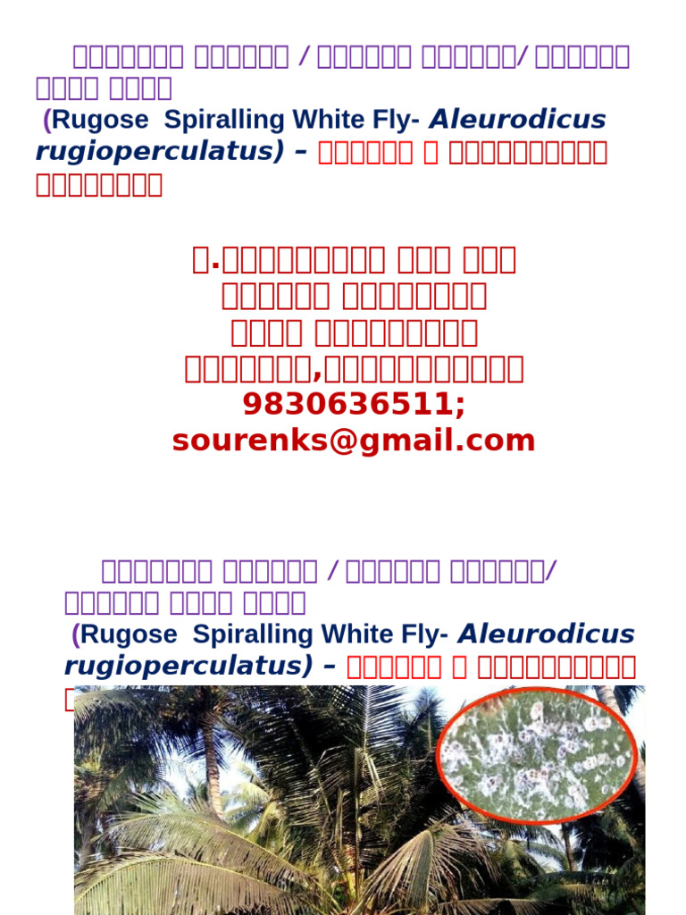 RSW Management | PDF