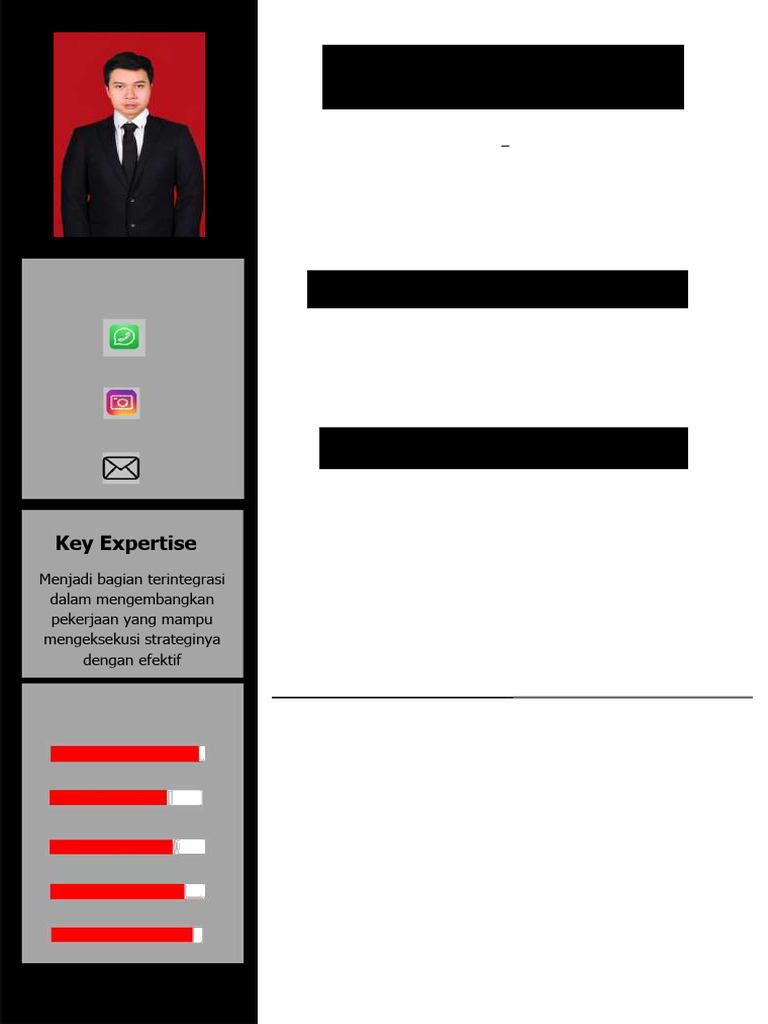 CV Franz Surya | PDF