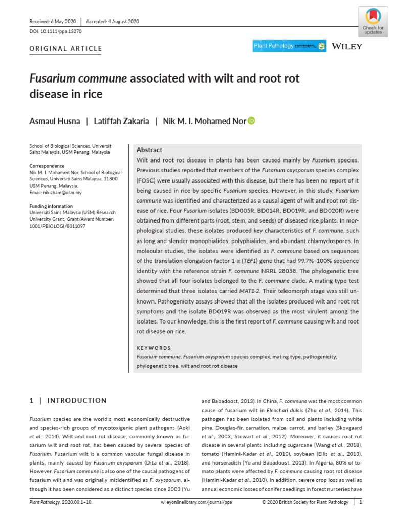 Fusarium Commune Associated With Wilt and Root Rot | PDF | Polymerase ...