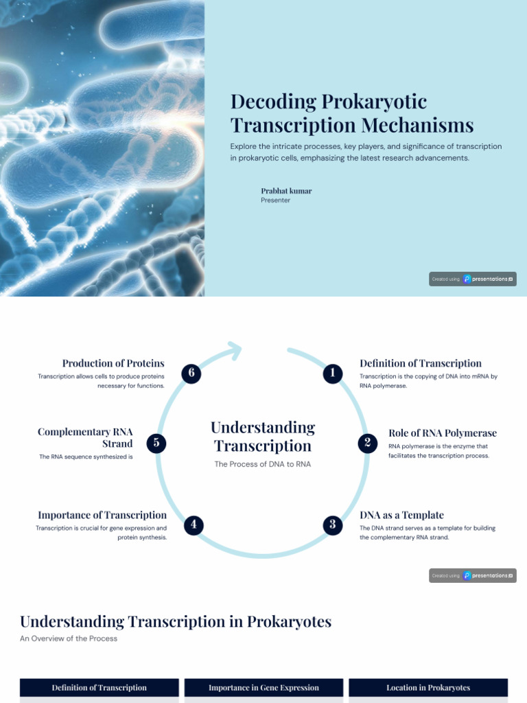 Understanding Transcription in Prokaryotes (1) | PDF