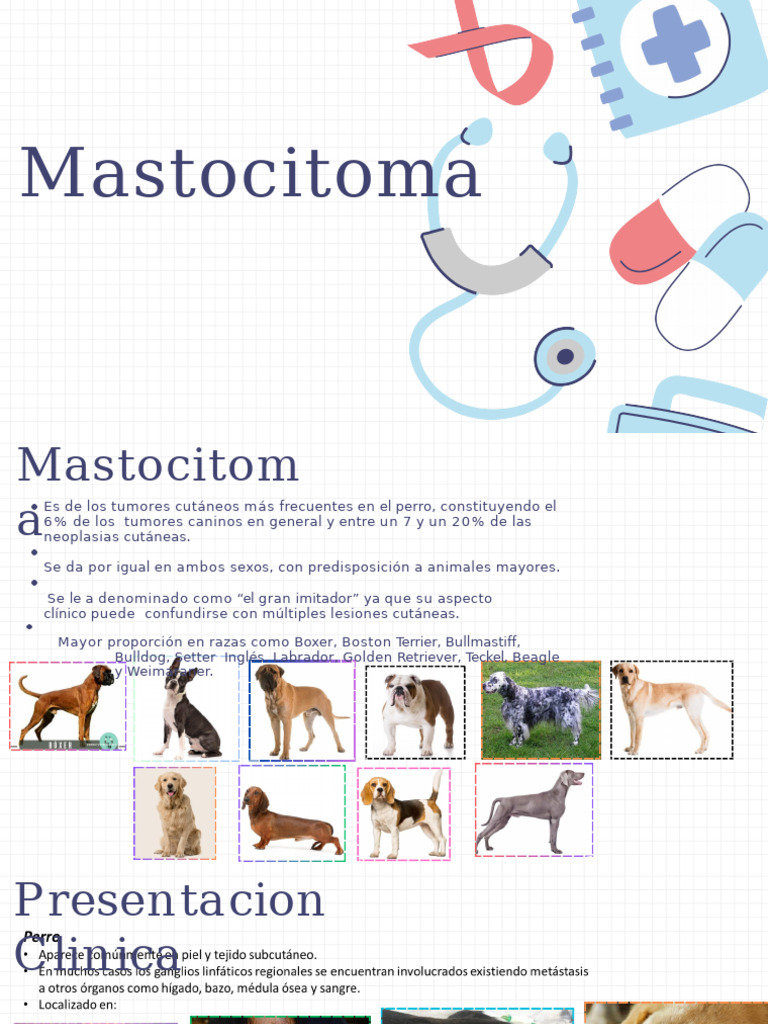 MASTOCITOMA | PDF | Metástasis | Biopsia