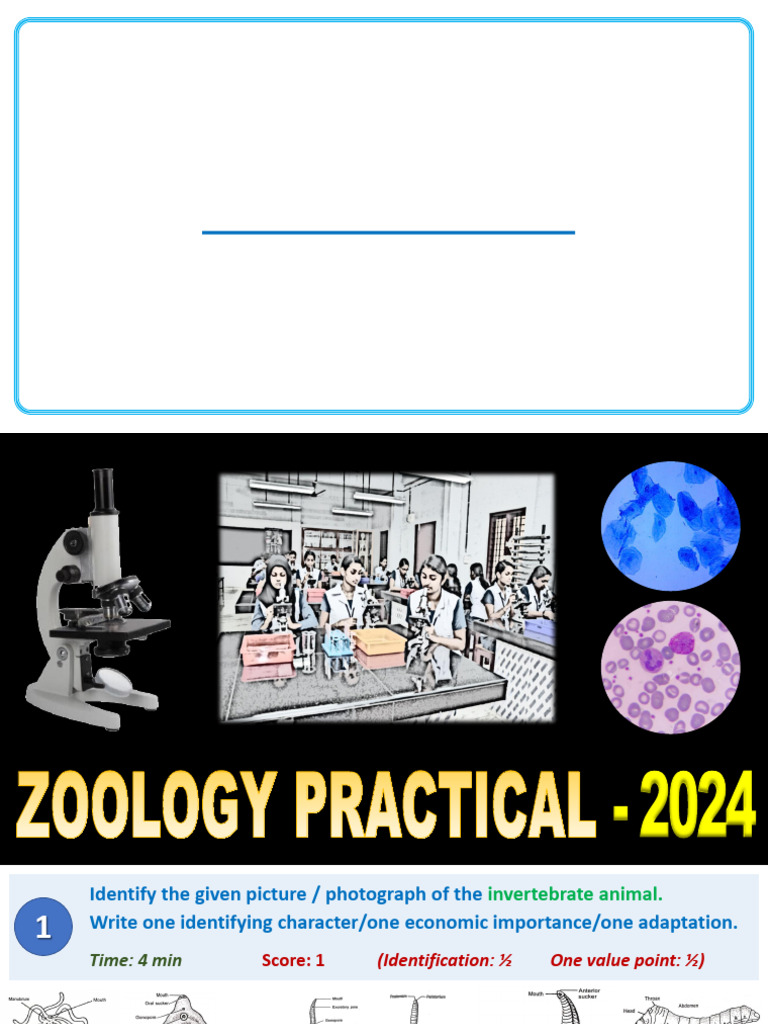 Zoology Practical Exam Tips 2024 | PDF | Muscle | Lung