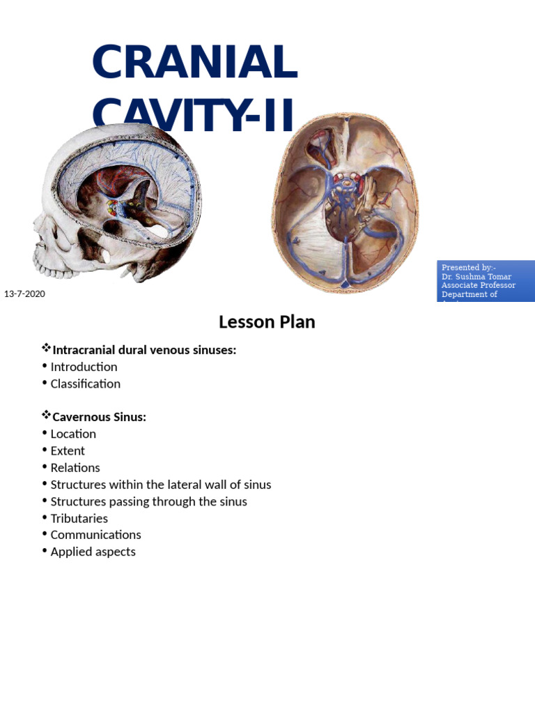 CRANIAL CAVITY & Dural Venosus Sinuses | PDF | Vein | Human Anatomy