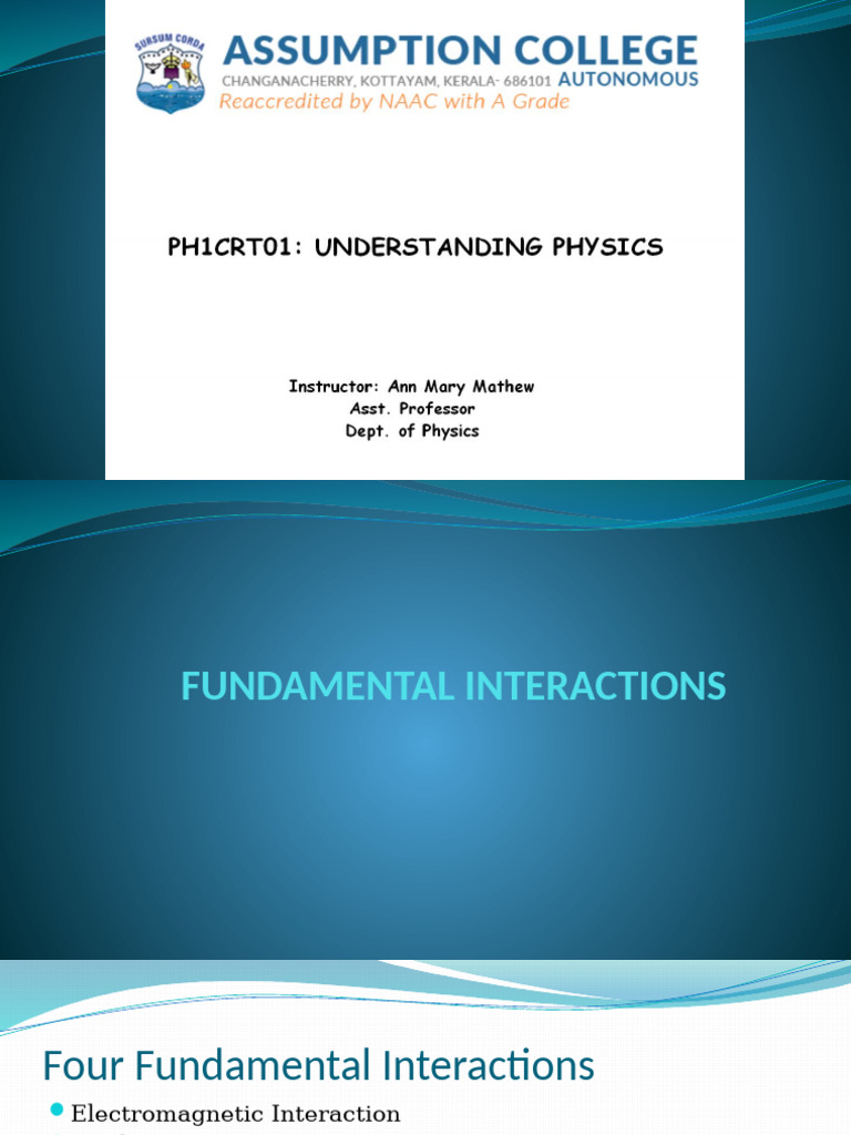Fundamental Interactions | PDF