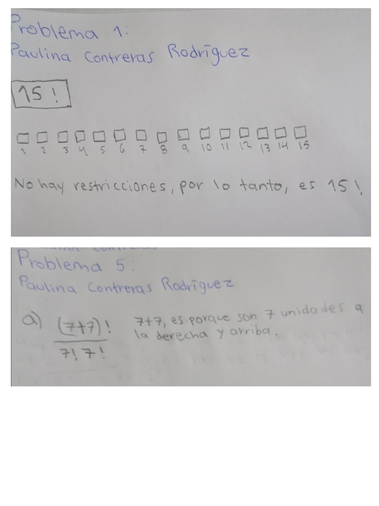 Etapa5 OFEM Paulina Contreras | PDF