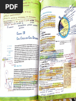Class 11 Botany Study Notes PDF | PDF | Plant Morphology | Organisms