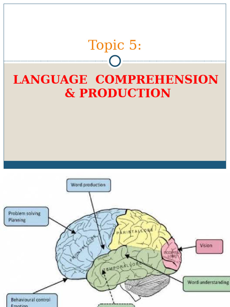 6225063 | PDF | Lateralization Of Brain Function | Speech