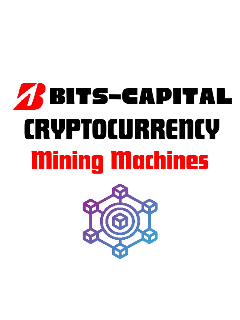 Bits Capital | PDF