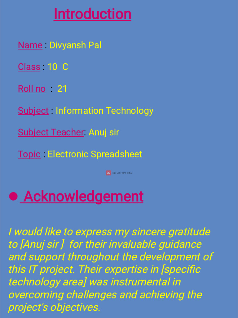 Electronic Spre-WPS Office | PDF