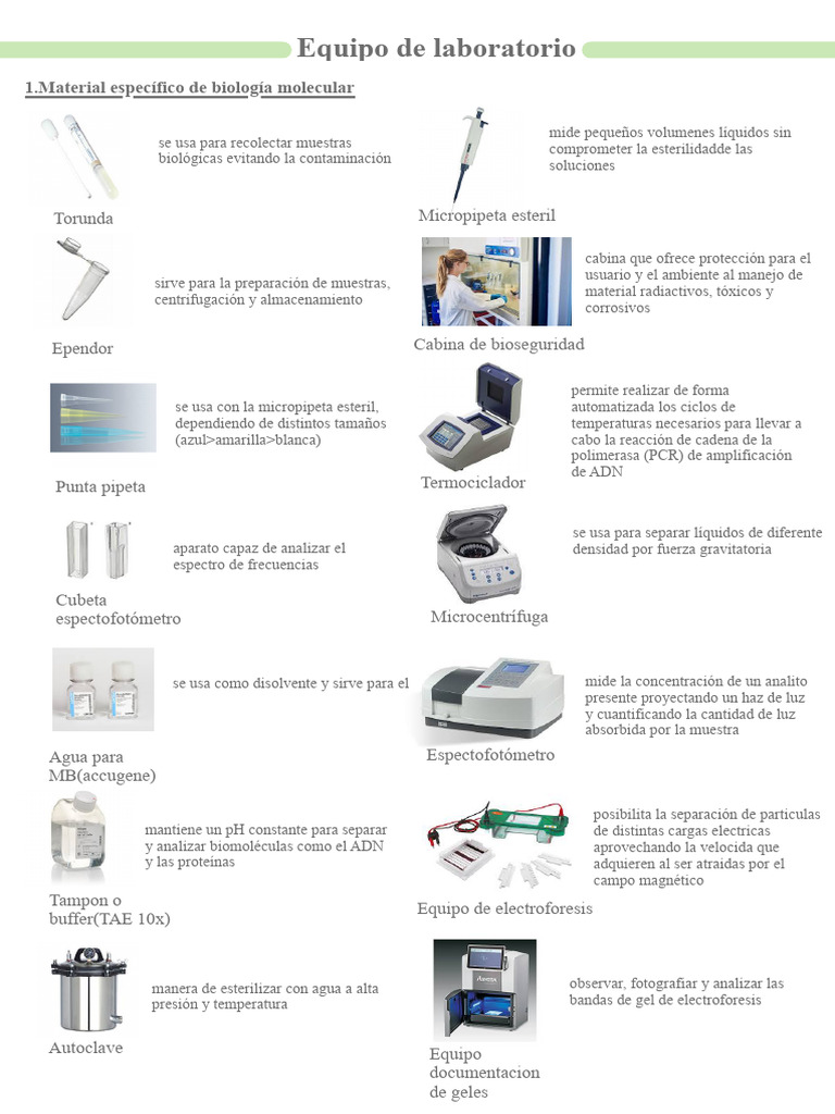 Equipo de Laboratorio | PDF | Reacción en cadena de la polimerasa | Química