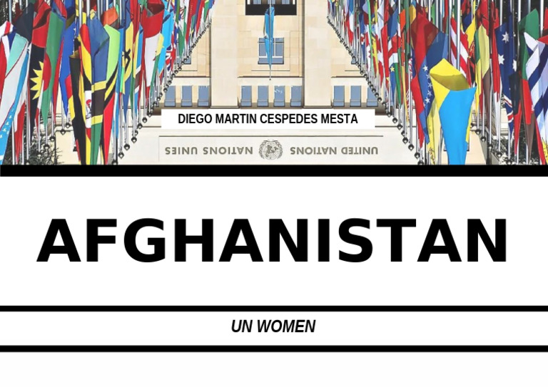 Placards - MUN 12th Diego | PDF