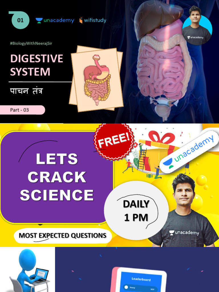 Digestive System Part-3 GROUP D | PDF