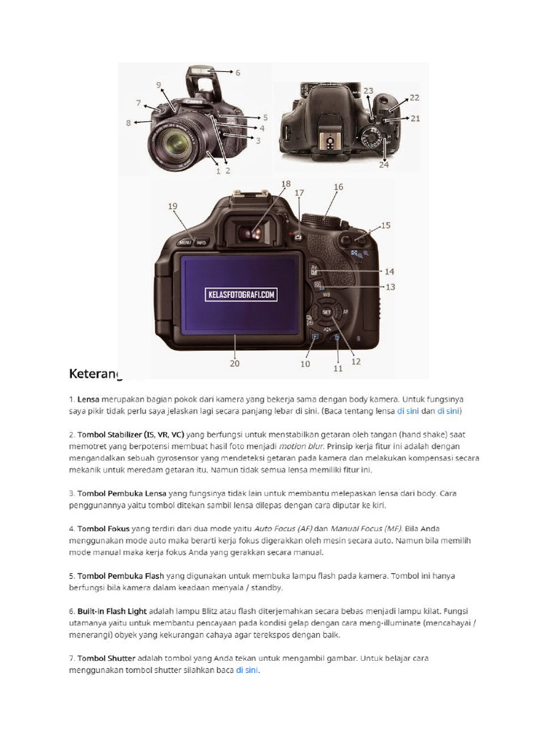 Anatomi DSL 1 | PDF