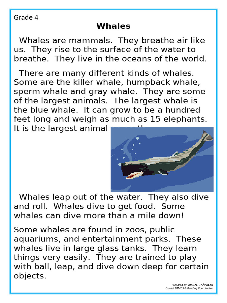 Whales - Grade 4 Material | PDF