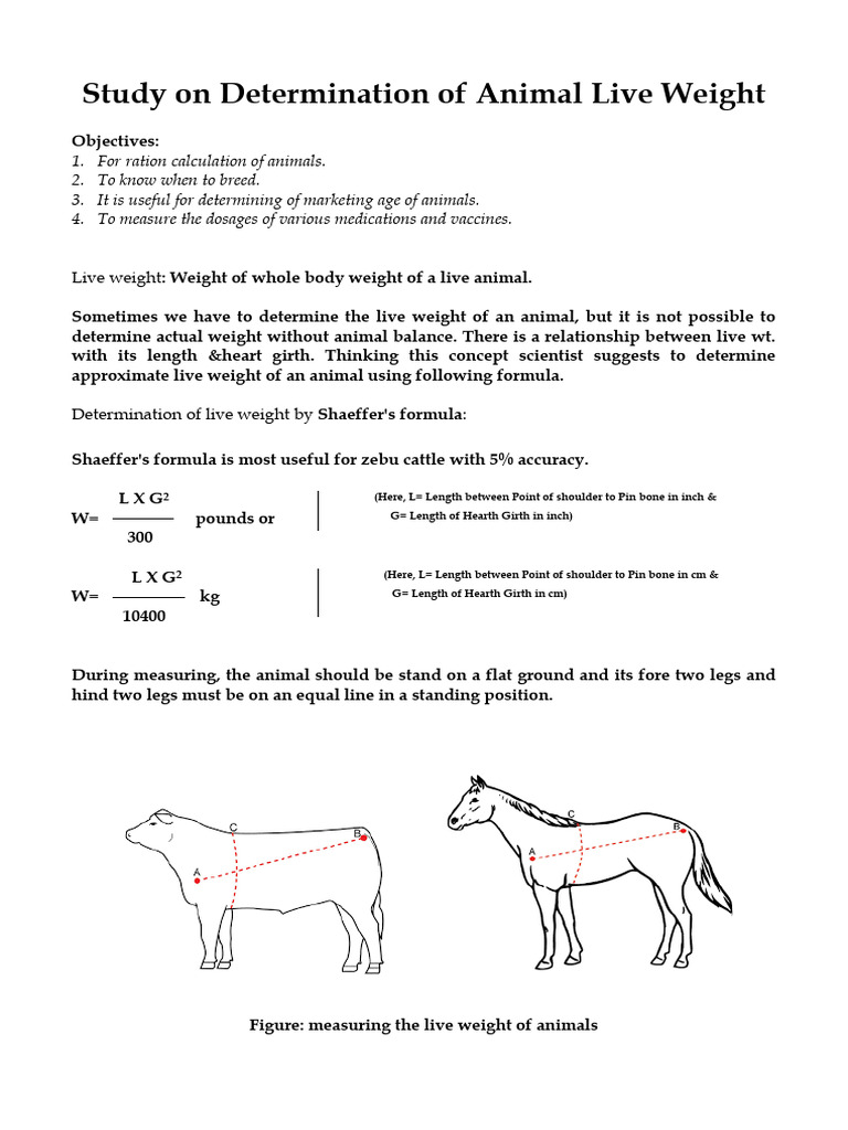 Shaeffer's Formula for Cattle Weight | PDF