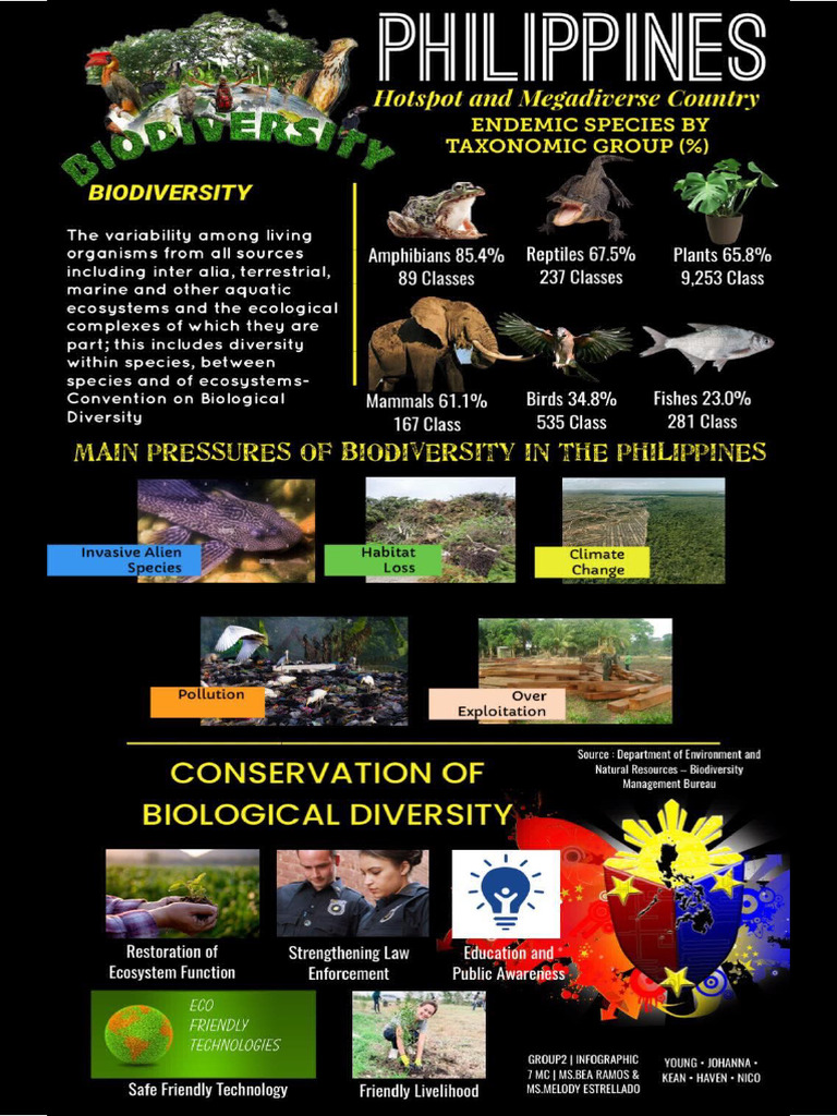 Infographic Biodiversity | PDF