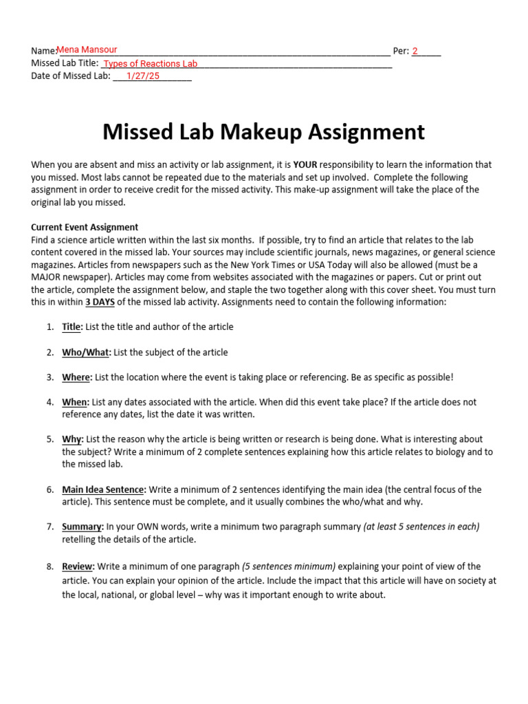 Mena Mansour - Kami Export - Lab Makeup Assignment | PDF | Newspapers | Paragraph