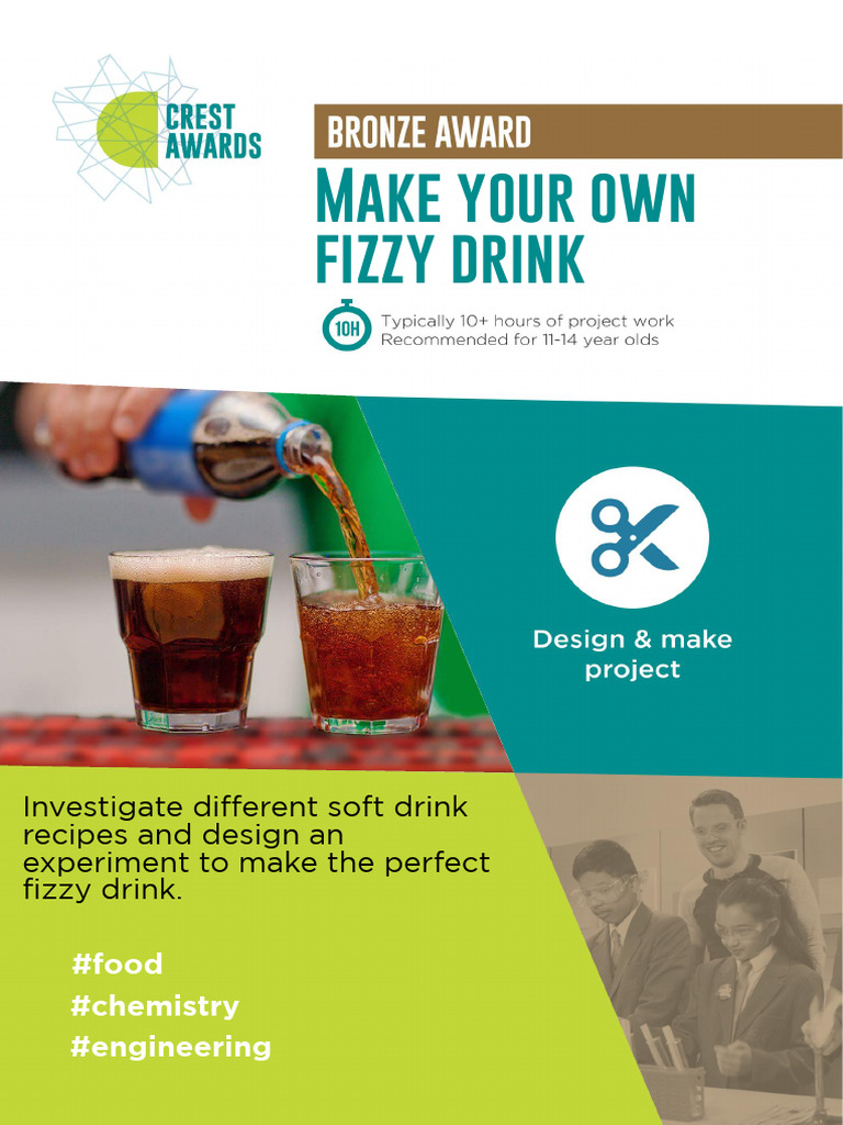 Make Your Own Fizzy Drink | PDF | Soft Drink | Drink