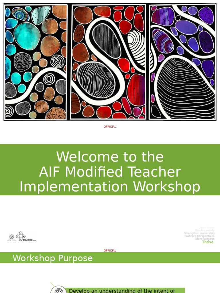 AIF Modified Teacher Implementation Workshop | PDF | Learning | Metacognition