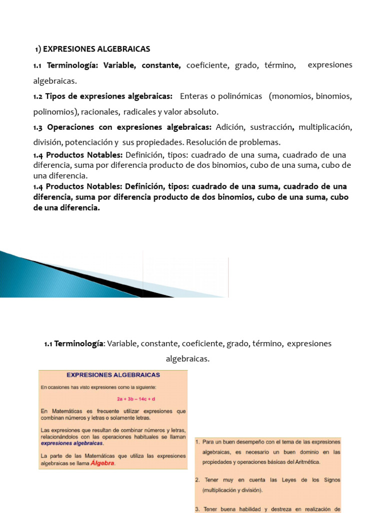 Clase Expresiones Algebraicas | PDF