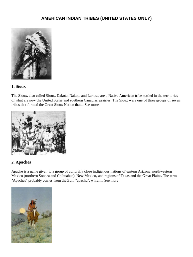 Overview of Native American Tribes | PDF | Cheyenne | Sioux