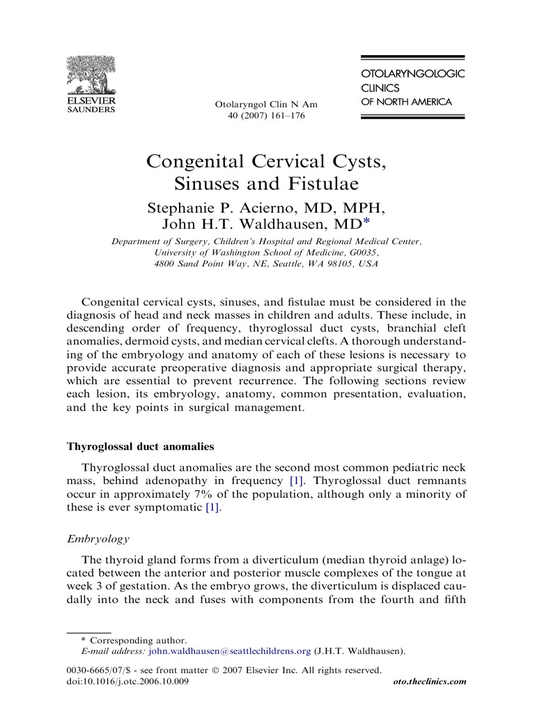 Cysts And Masses 1 Pdf Common Carotid Artery Thyroid