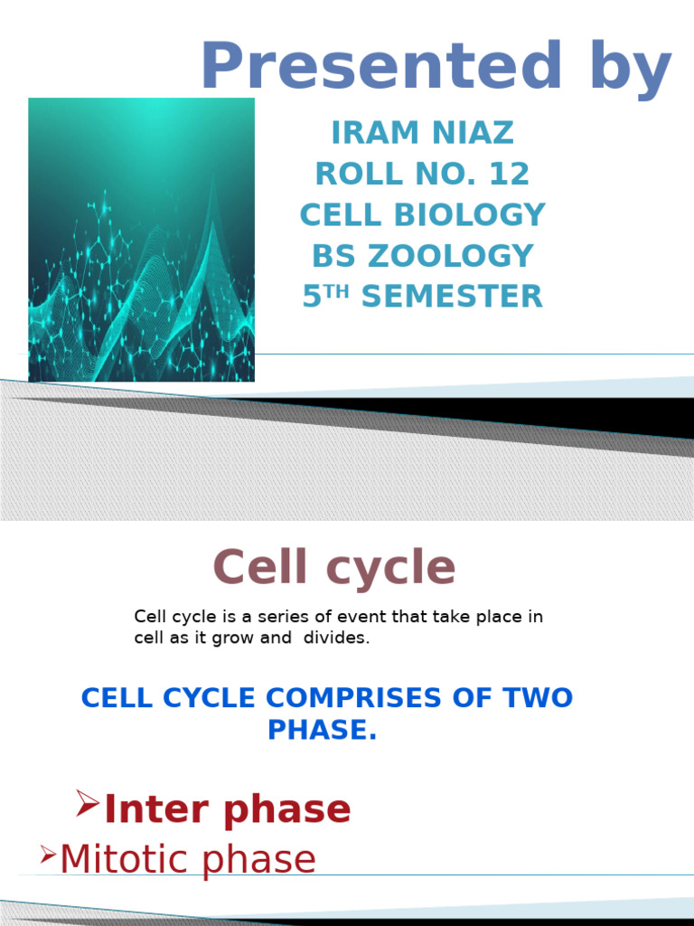 Understanding the Cell Cycle Phases | PDF