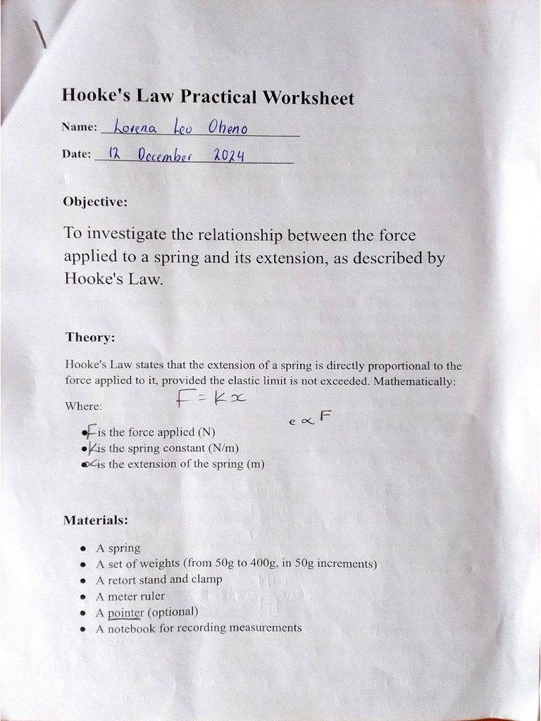 Lorena Hooke's Law Practical Worksheet | PDF