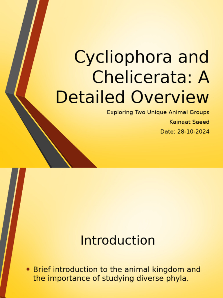 Cycliophora and Chelicerata Presentation | PDF
