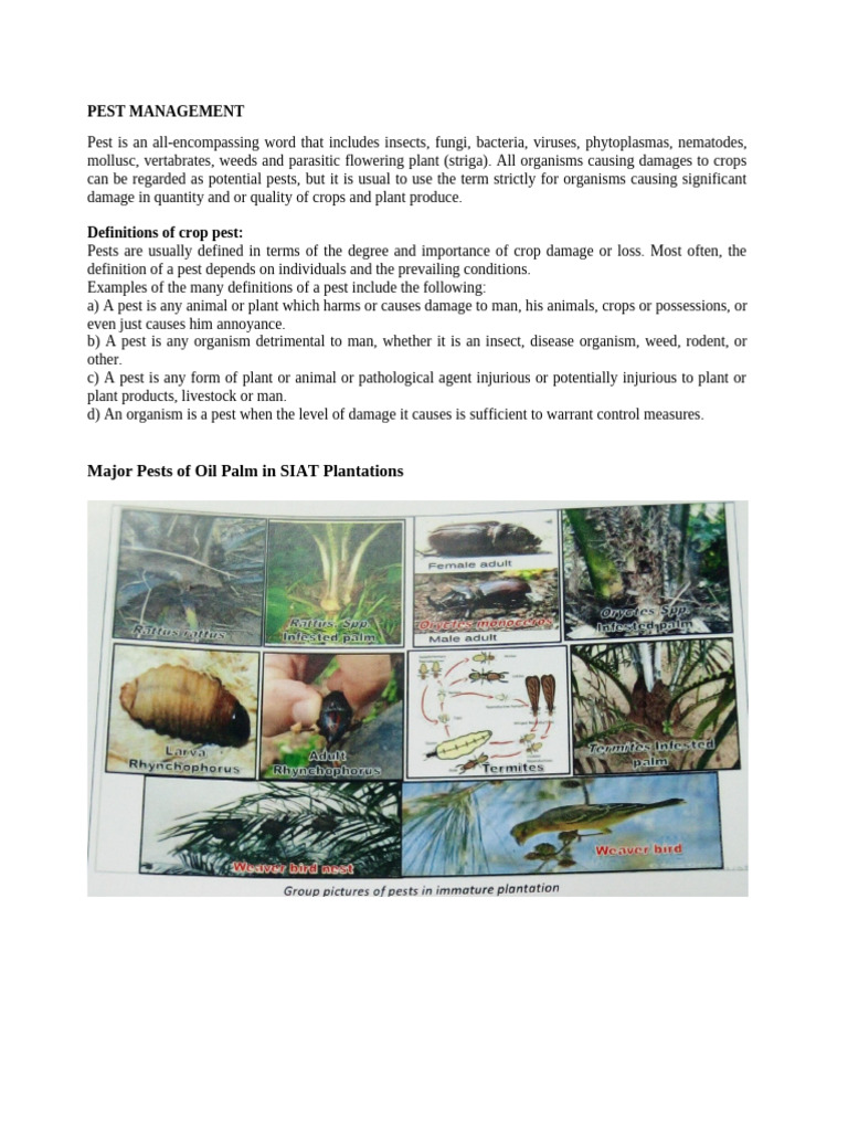 Vertebrate and Invertebrate Pests of Oil Palm | PDF | Pupa | Pest ...