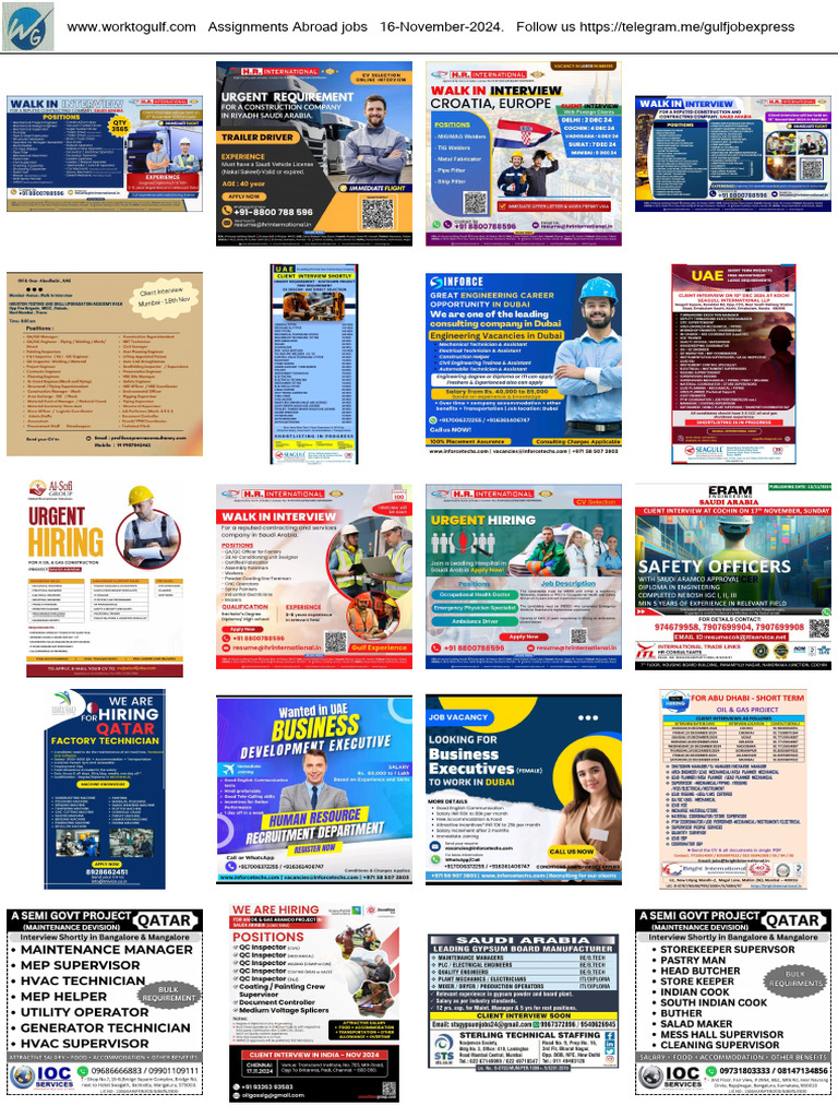 16 assignment abroad shess | PDF