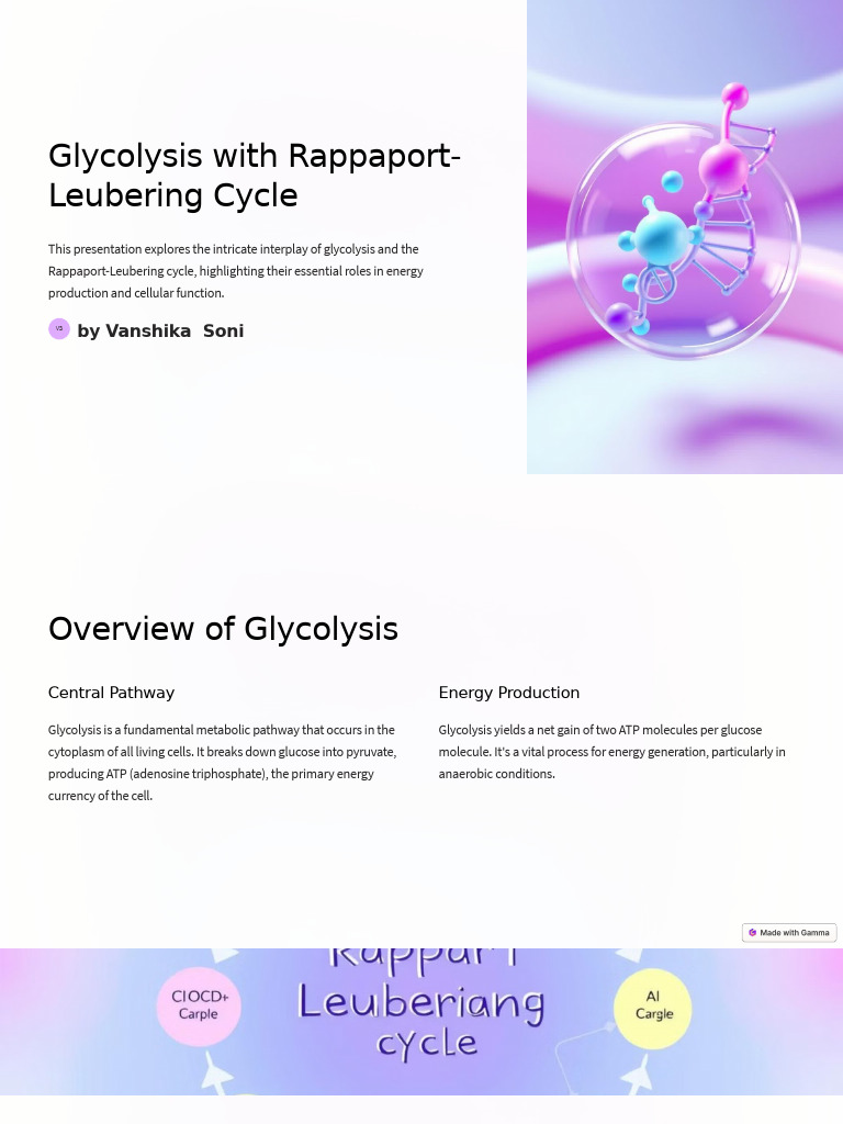 Glycolysis and Rappaport-Leubering Cycle | PDF | Glycolysis | Metabolism