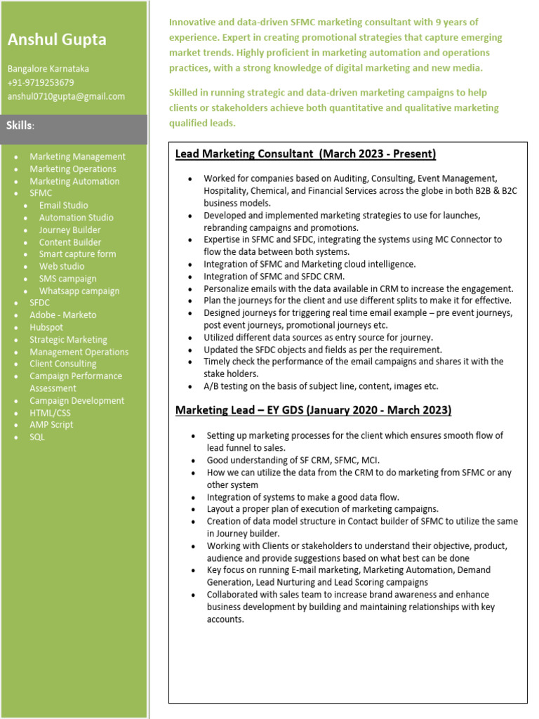 SFMC Marketing Consultant Profile | PDF | Marketing | Customer Relationship Management