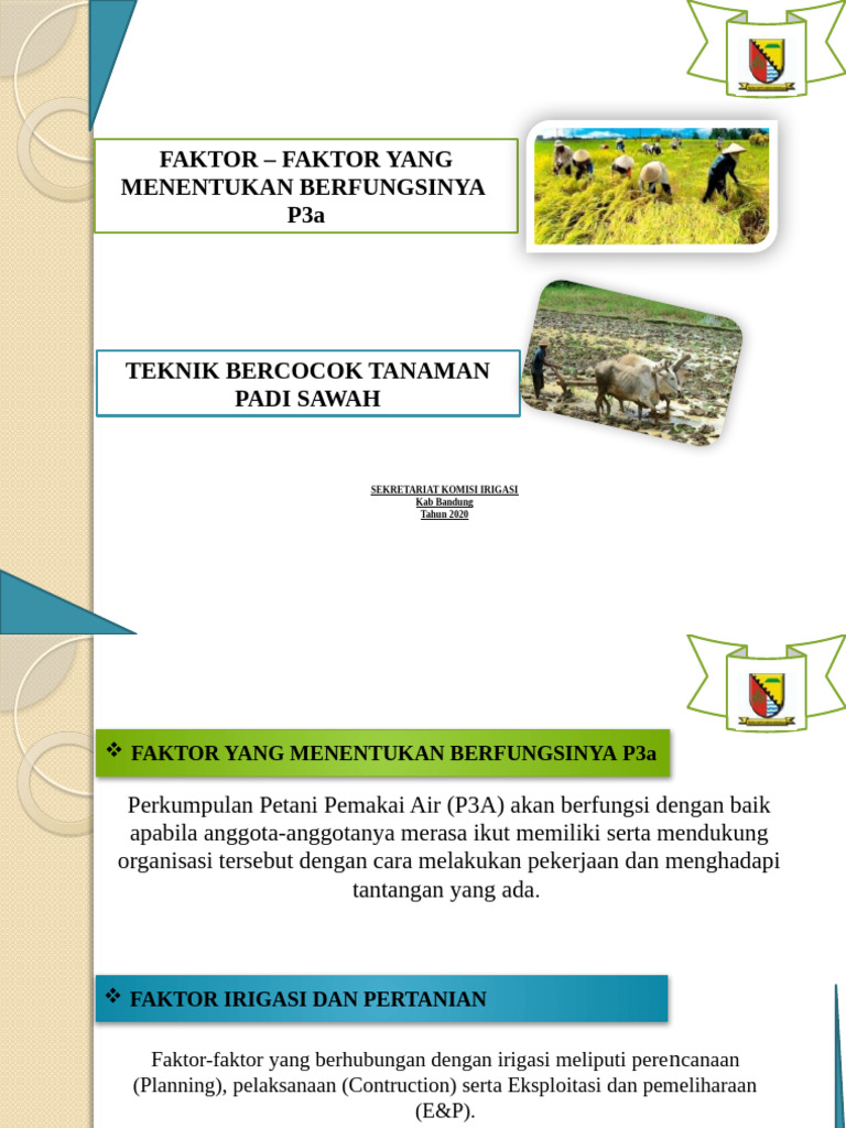 PP Faktor Fungsinya P3a | PDF