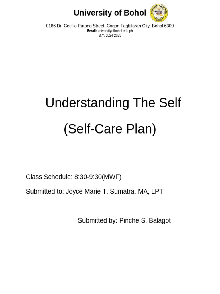 Self-Care Plan Overview | PDF