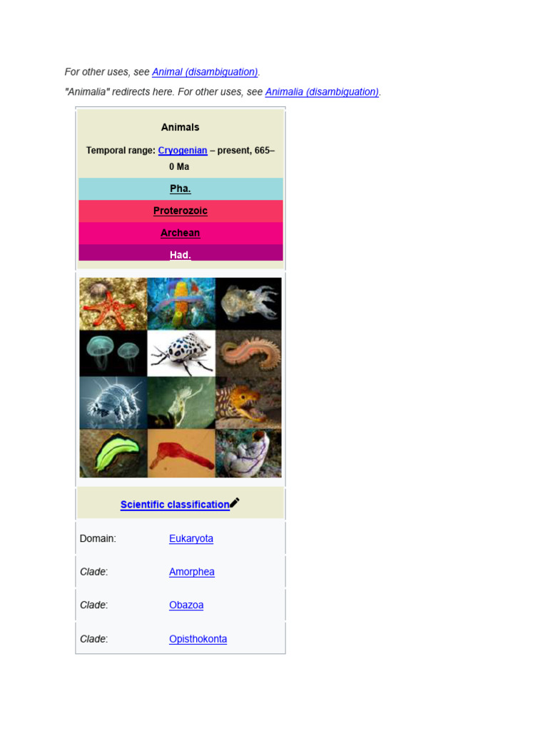 Animalia | PDF | Biology | Zoology