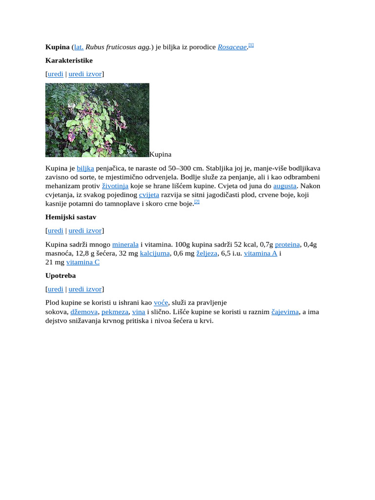 Kupina | PDF