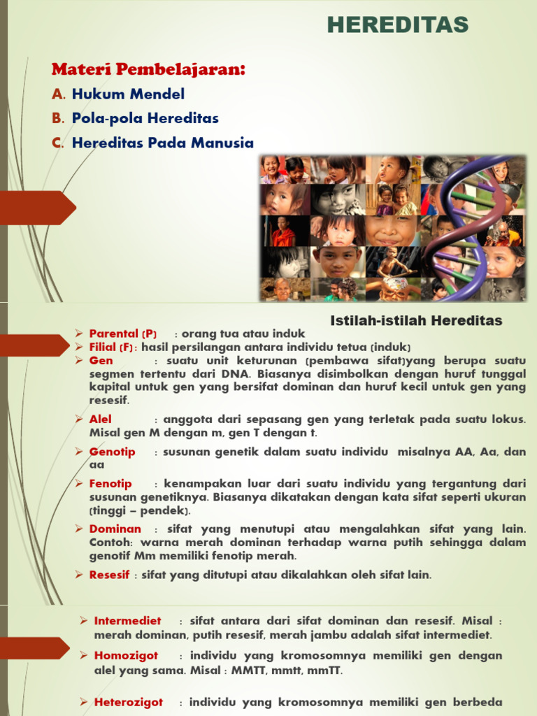 HEREDITAS (Hukum Mendel) 1 | PDF