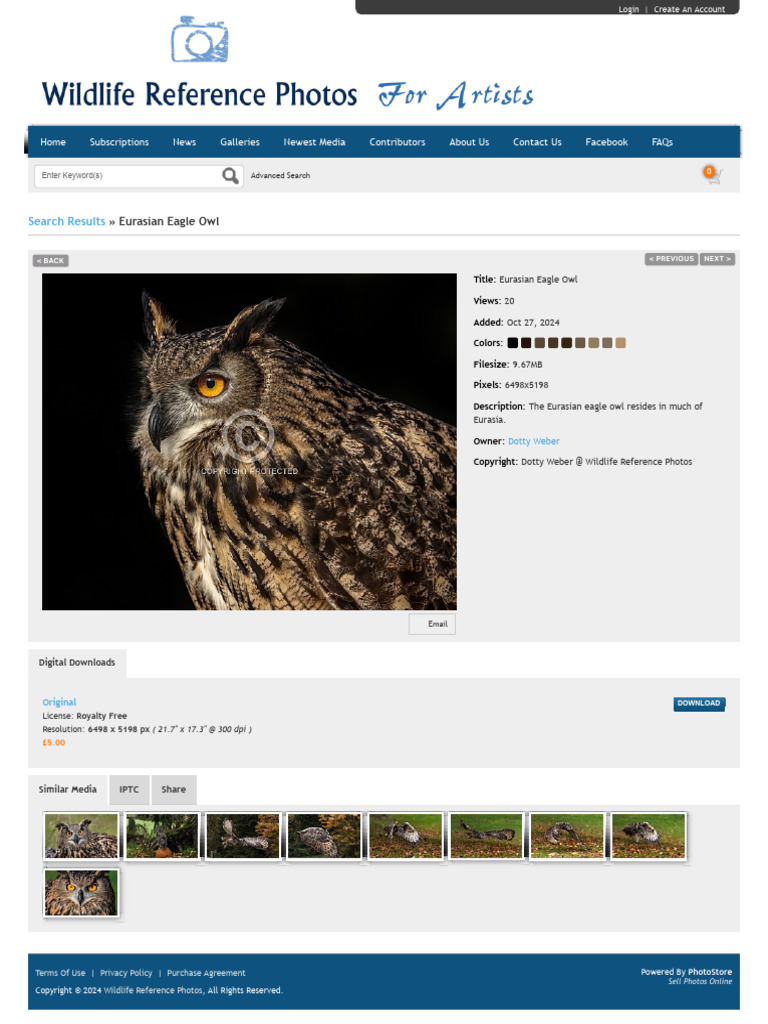 Eurasian Eagle Owl - Wildlife Reference Photos For Artists | PDF