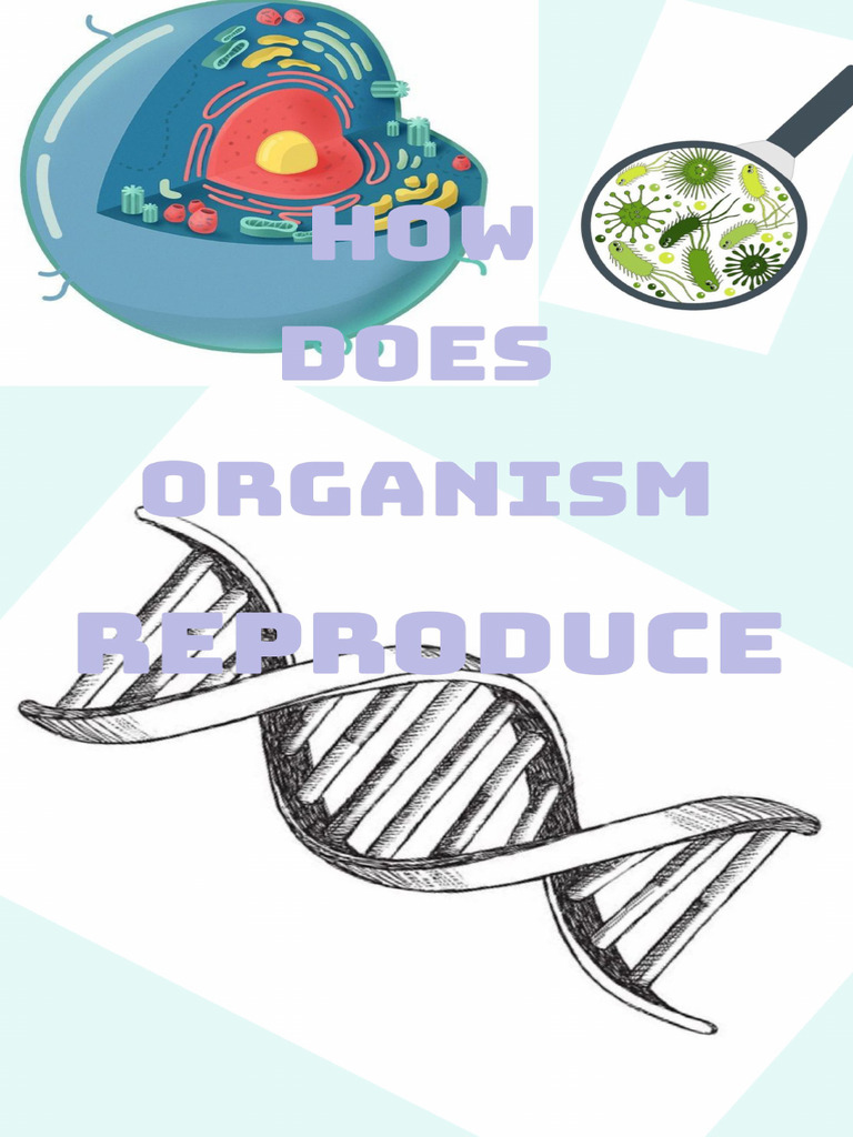 Bio Reproduction 1-3 | PDF