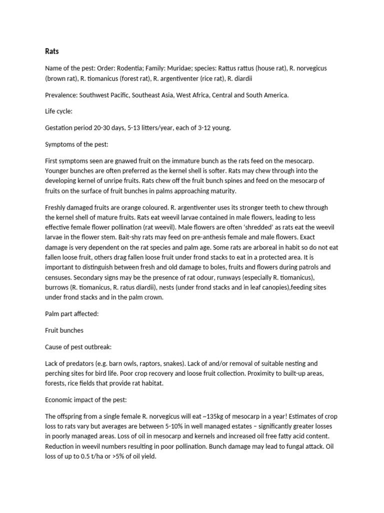 Rats | PDF | Rat | Pest (Organism)
